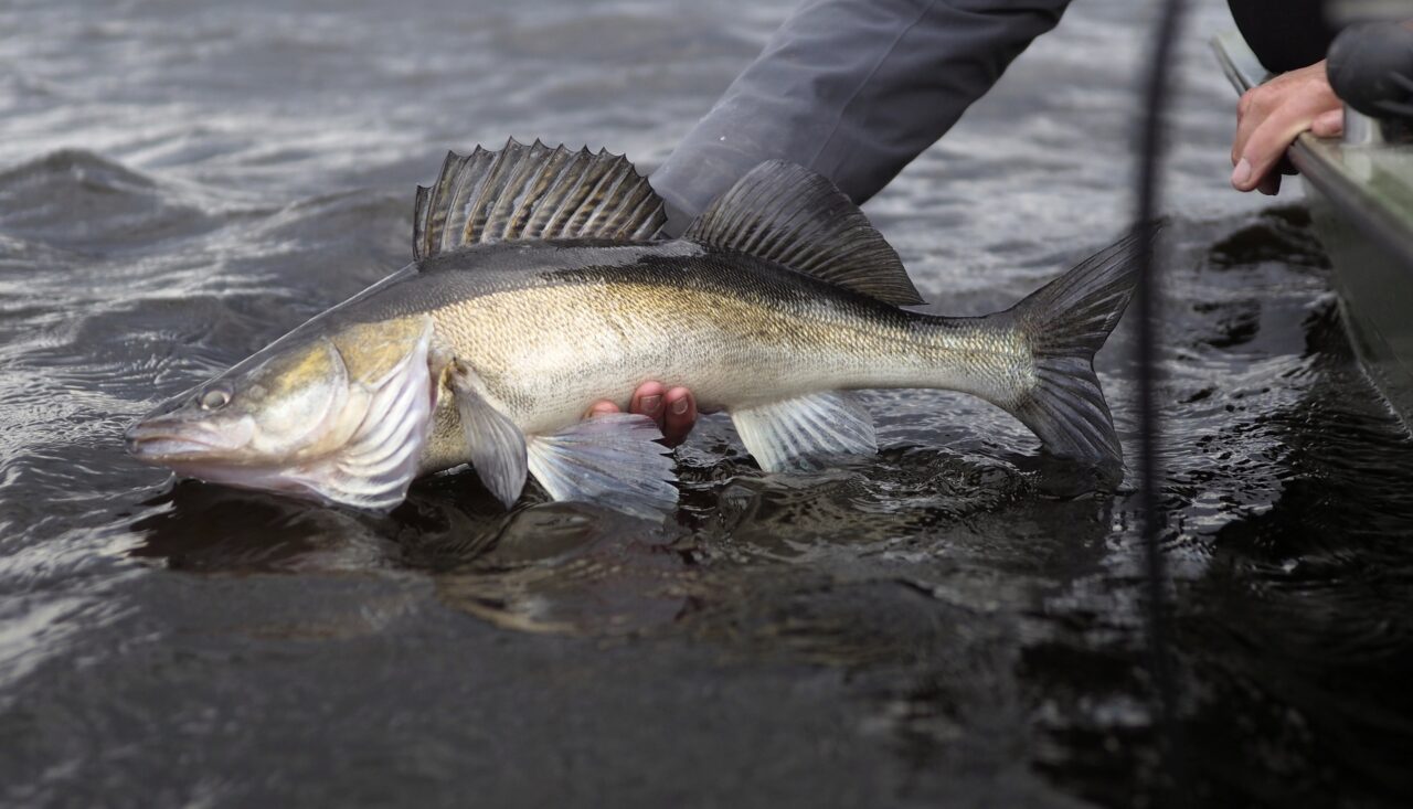 Kalalajit - Vapaa-ajankalastajat