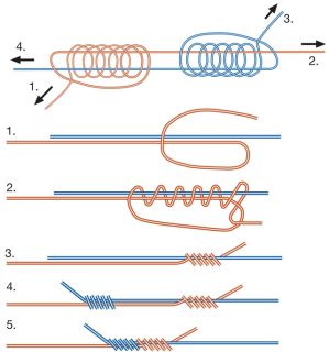 Kalastajan solmut - Vapaa-ajankalastajat