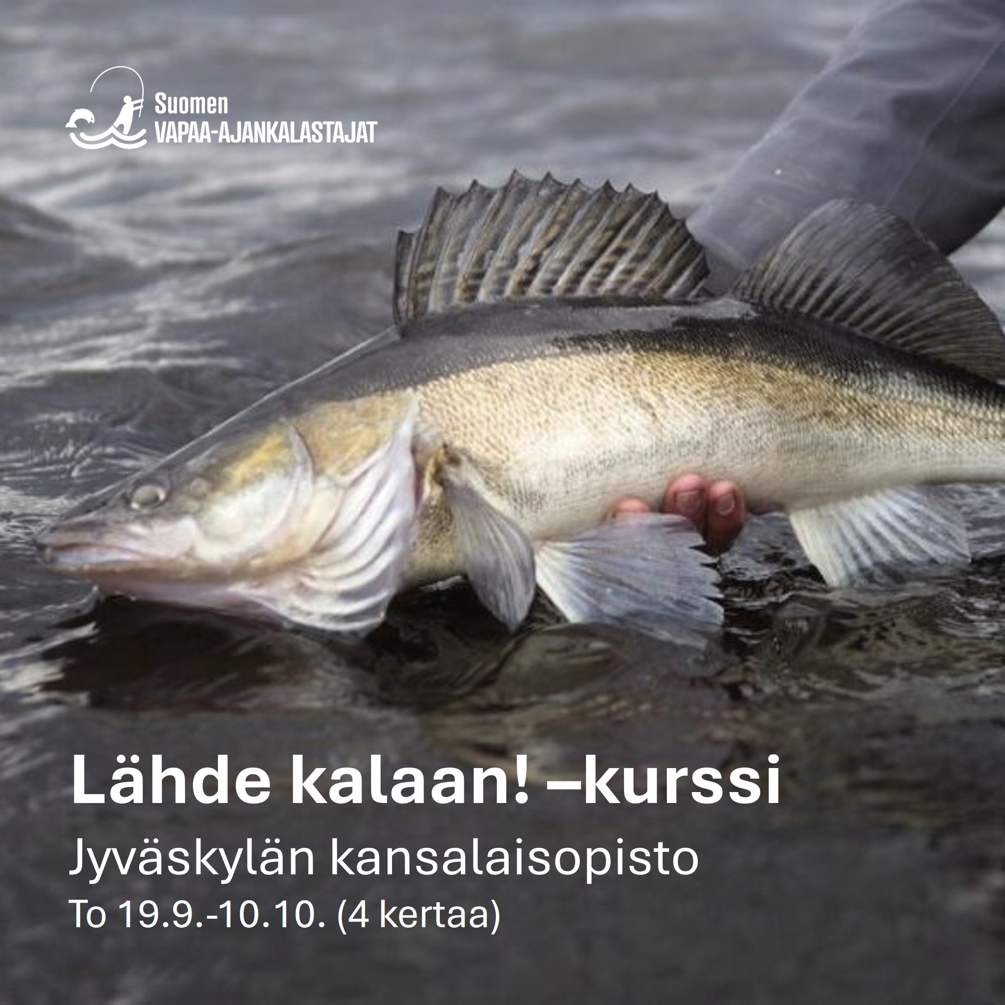 Lähde kalaan -kurssi aikuisille JYVÄSKYLÄ - Vapaa-ajankalastajat