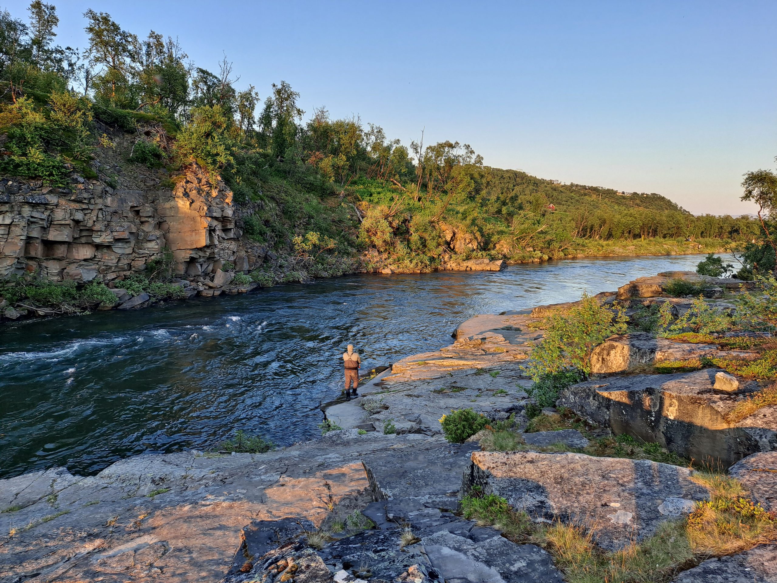 YLE: Norjan ympäristövirasto haluaa rajoittaa rajusti lohenpyyntiä ...